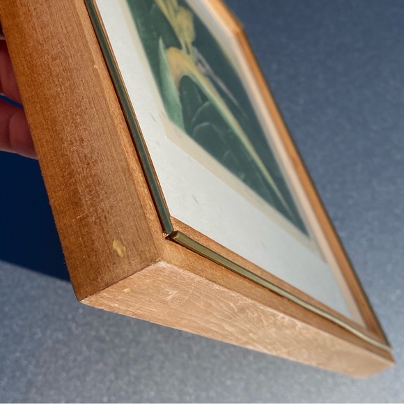 Jess Flores | Art | Jess Flores Numbered Etching Bird Of Paradise 255 ...